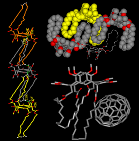 Working group 1 | Prof. Bruno Botta